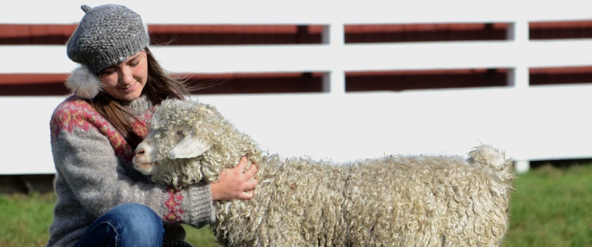 Chevrier du nord | Nubee | Stratégie + Web + Design